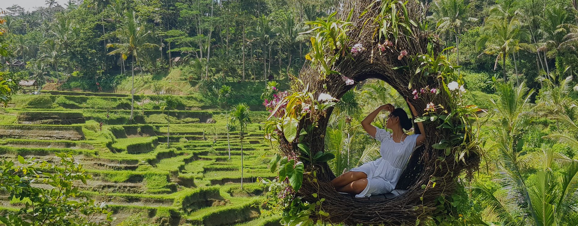 TIS RESTAURANT UBUD – Best Asian Fusion Restaurant in Ubud