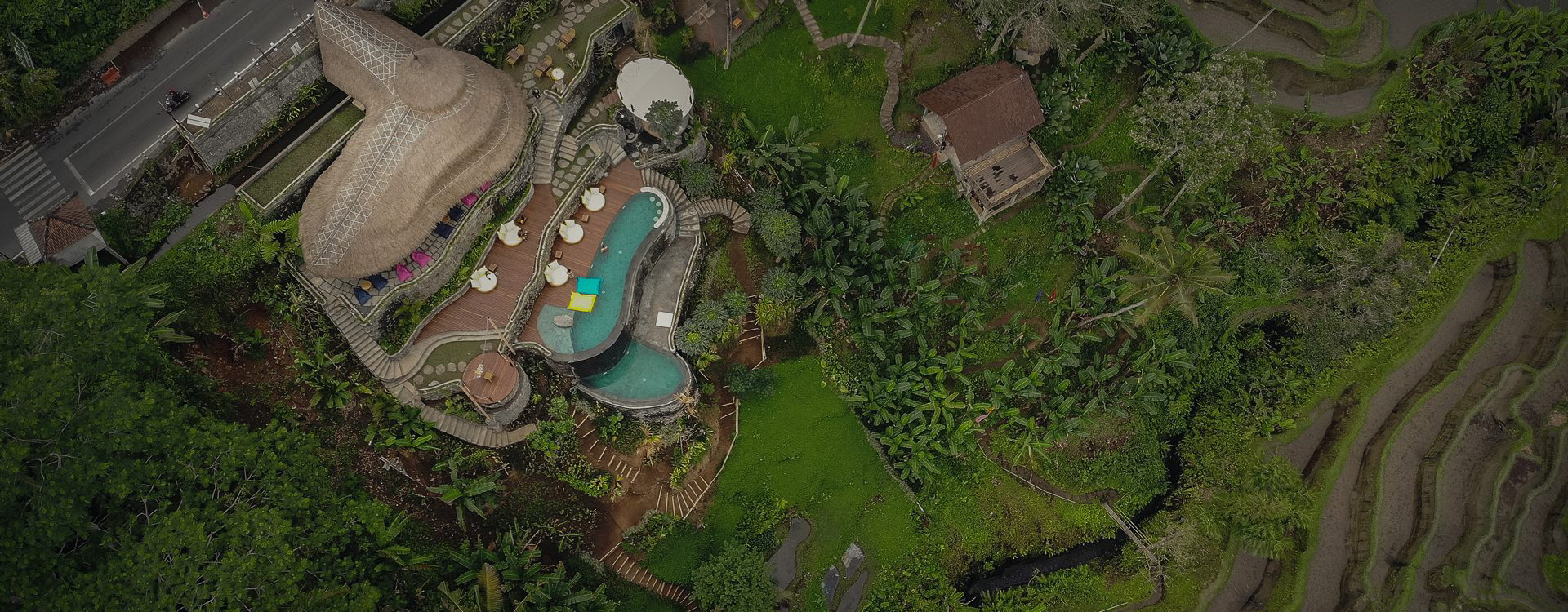 Tis Cafe Ubud: A Culinary Haven with Stunning Rice Terrace Views – TIS ...