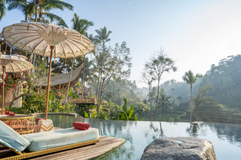 TIS CAFE UBUD – Best Asian Fusion Restaurant in Ubud